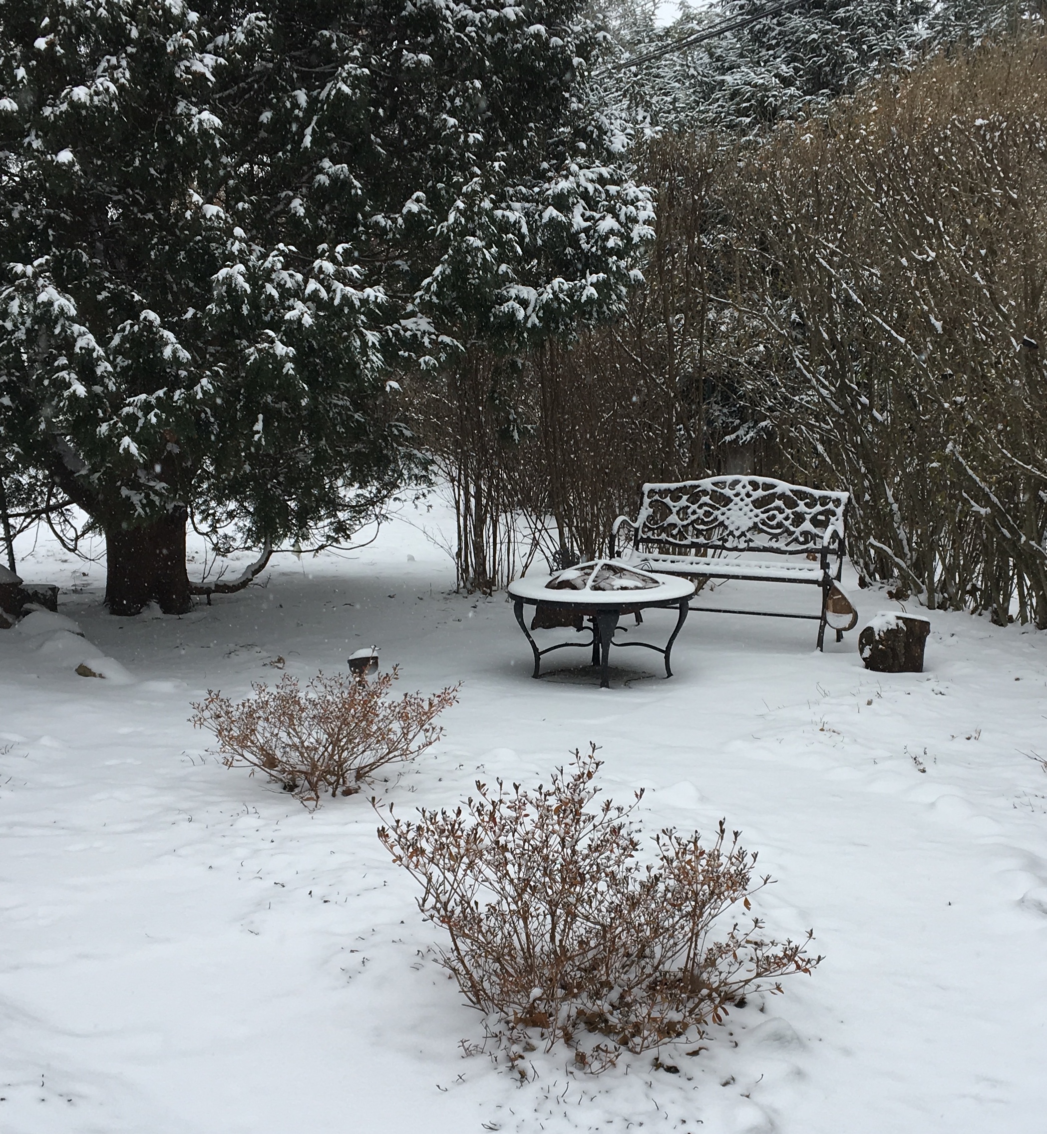 On My Mind - The Weather Outside - 12/24/2017 - Glory DaysGlory Days